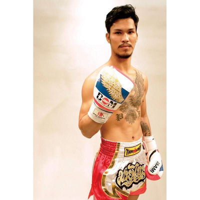 Isami Boxing Gloves – Pro Gear for Sparring & Competition